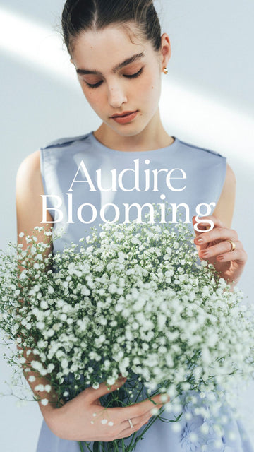 Information – Audire